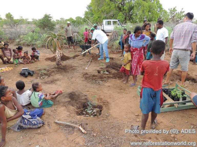 ADES – Reforestation World