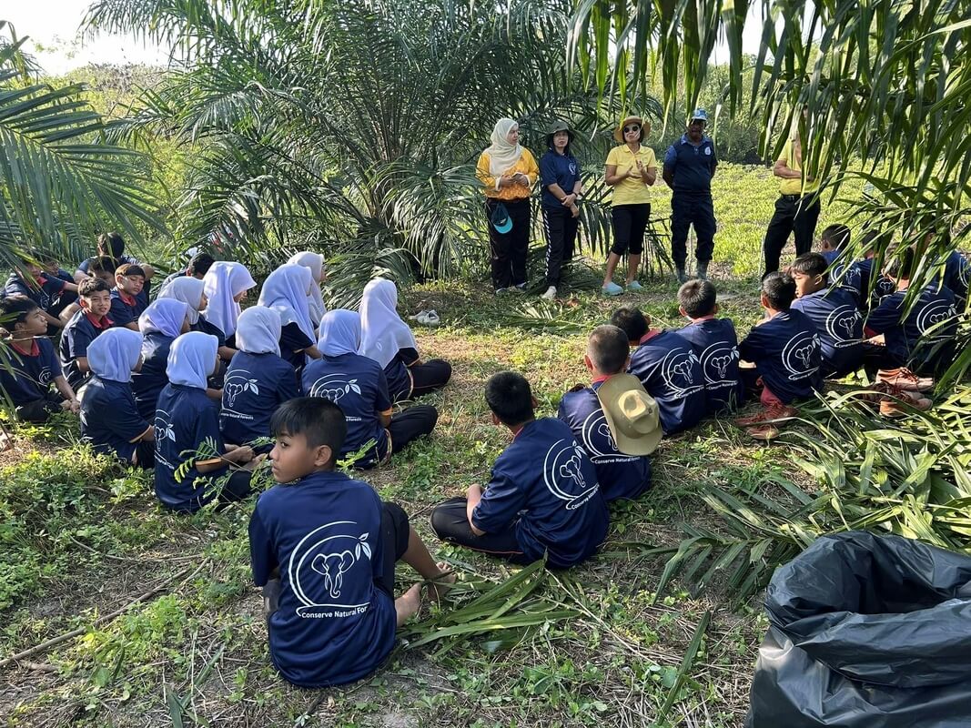 Final results for 2024 – Reforestation World