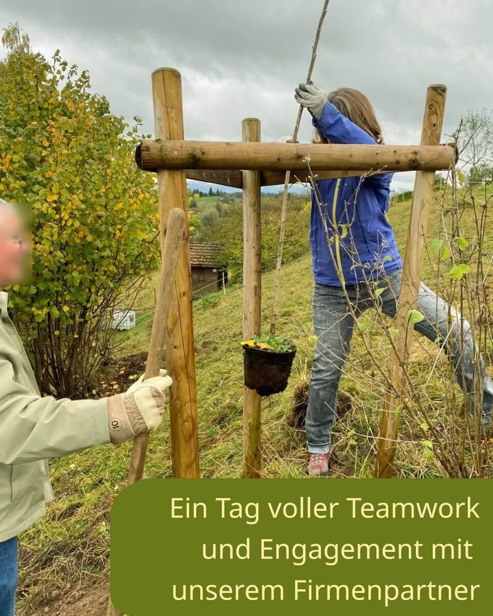 Our latest planting action – Reforestation World