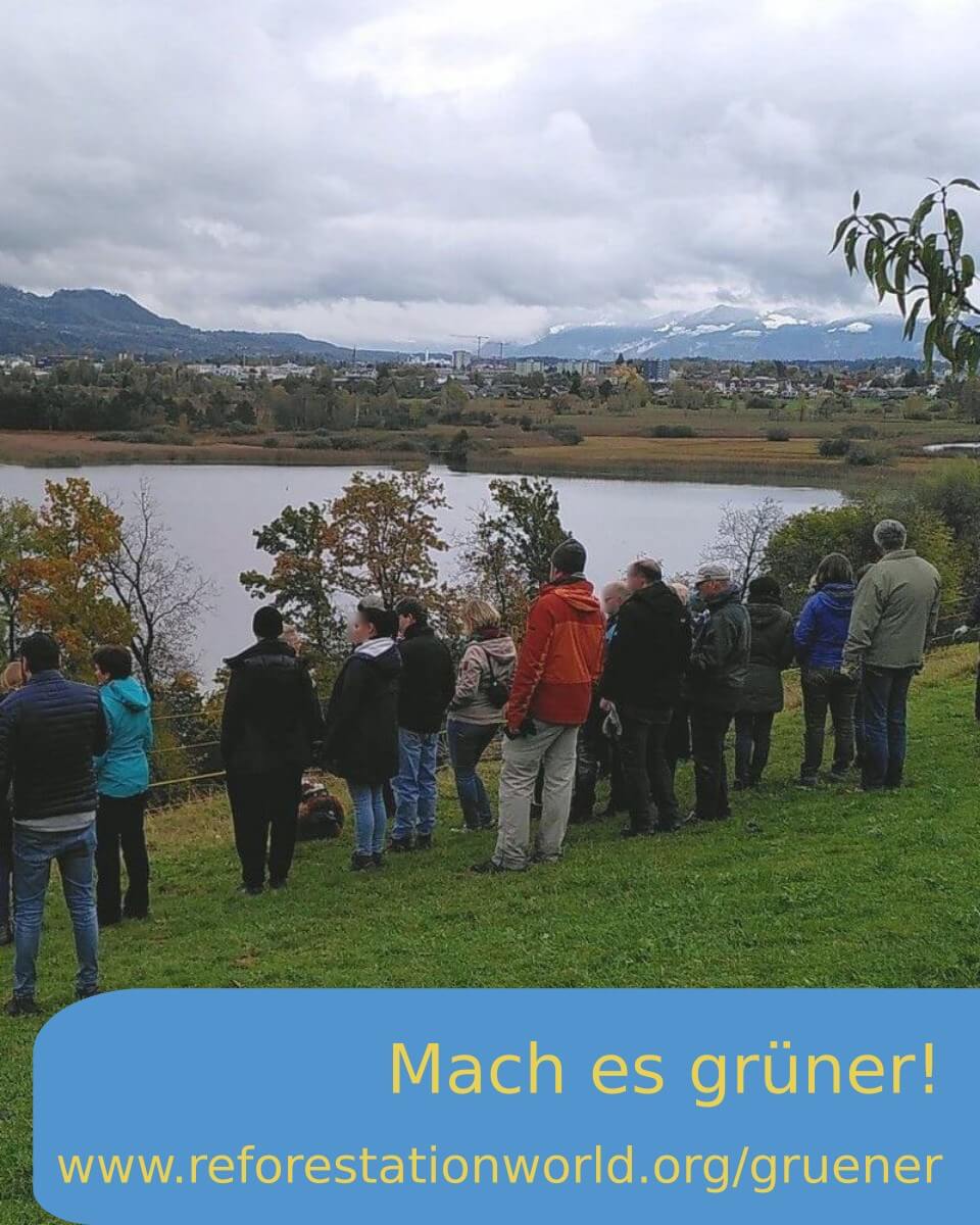 Our latest planting action – Reforestation World