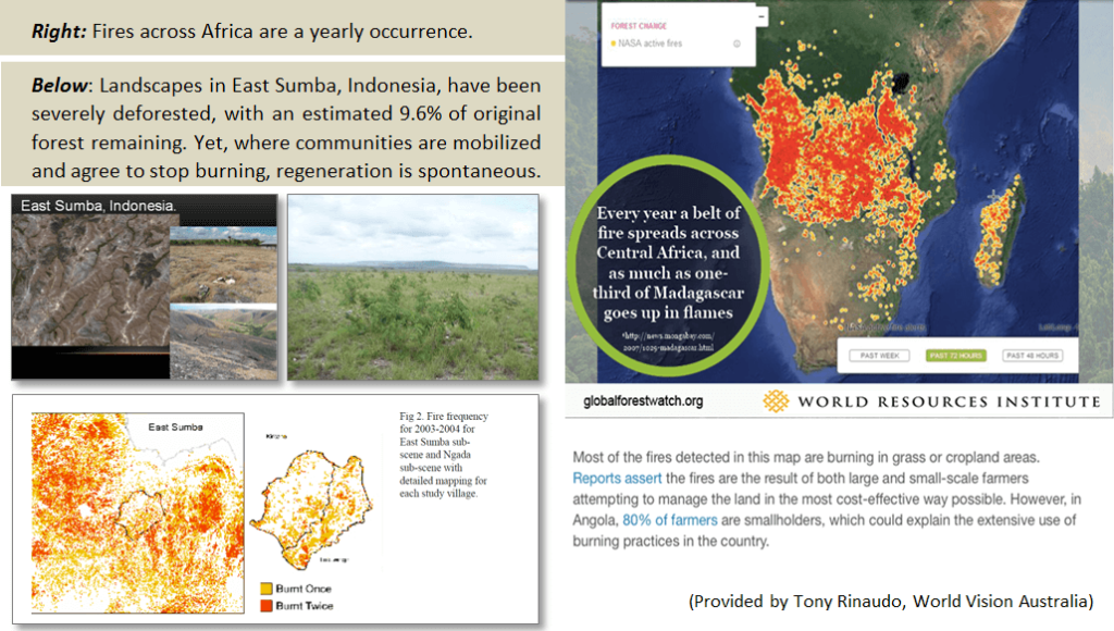 Tony Rinaudo – Reforestation World