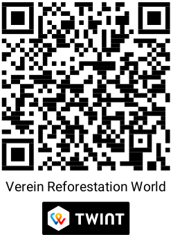 Quick Guides – Reforestation World