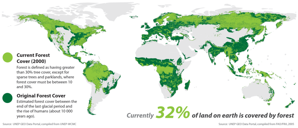 Quick guides – Reforestation World