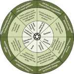 Initiatives and organisations in action – Reforestation World