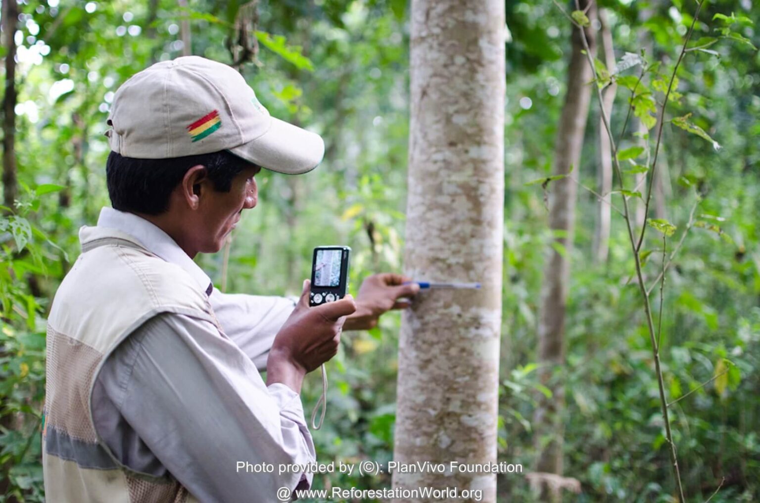 Certification & Standards – Reforestation World