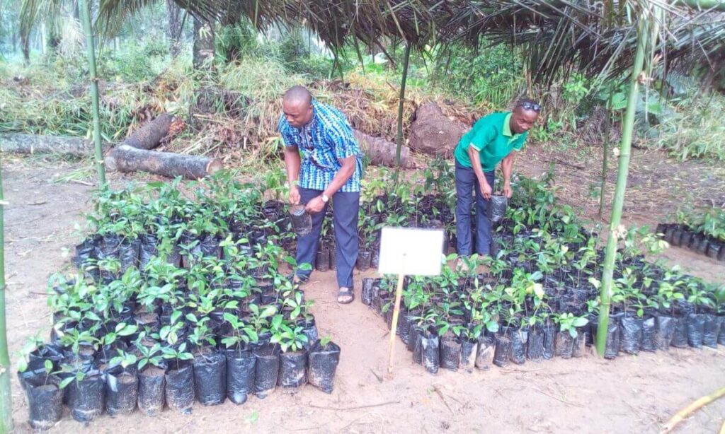Planting organisation – Reforestation World