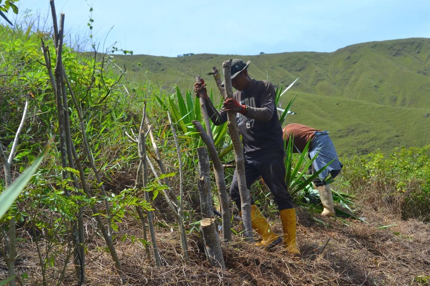 New partner in Ecuador – Reforestation World